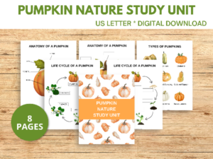 Pumpkin Fun Facts For Kids & The Life Cycle: A Unit Study - Paint The ...