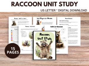 Raccoon Nocturnal Animal Unit Study - Paint The World With You