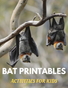 Bat Printables: A Unit Study - Paint The World With You