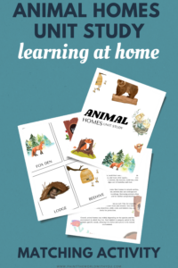 An Interactive Unit Study on Animals and Their Homes - Paint The World ...